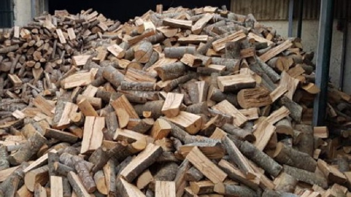 Θεσσαλονίκη: Κόβουν ξύλα από ξένα χωράφια για να ζεσταθούν τον χειμώνα ...