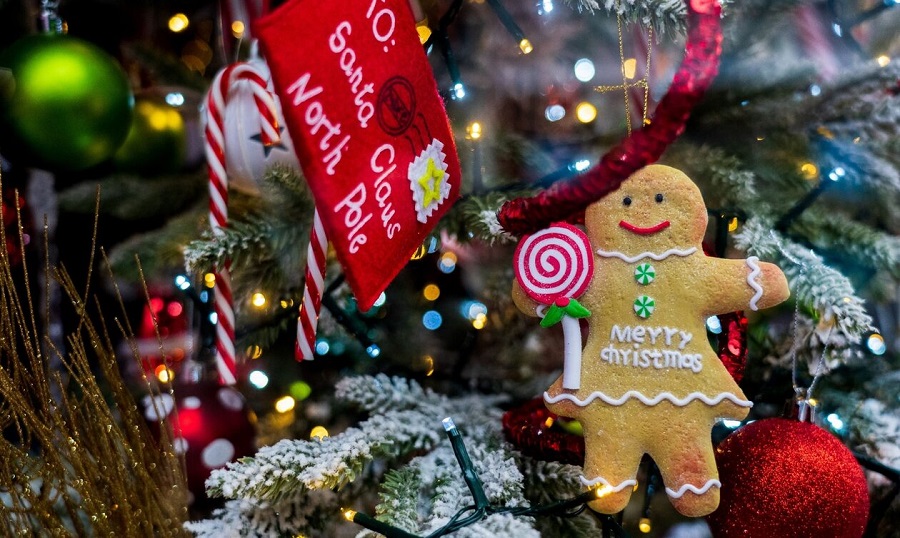 ΑΚΡΙΒΟ ΤΟ «ΠΝΕΥΜΑ ΤΩΝ ΧΡΙΣΤΟΥΓΕΝΝΩΝ»: ΣΤΑ ΥΨΗ ΟΙ ΤΙΜΕΣ ΣΕ ΔΕΝΤΡΑ, ΣΤΟΛΙΔΙΑ ΚΑΙ ΔΩΡΑ! - elora.gr